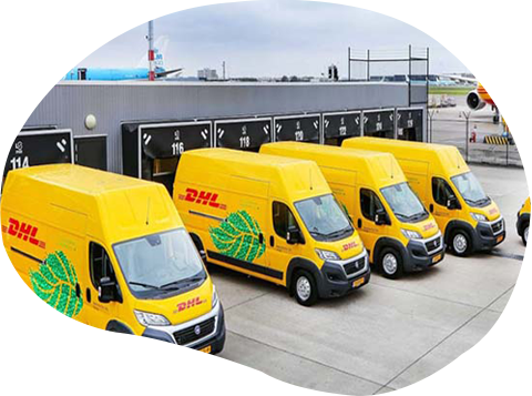 Trang chủ - DHL Hồ Chí Minh